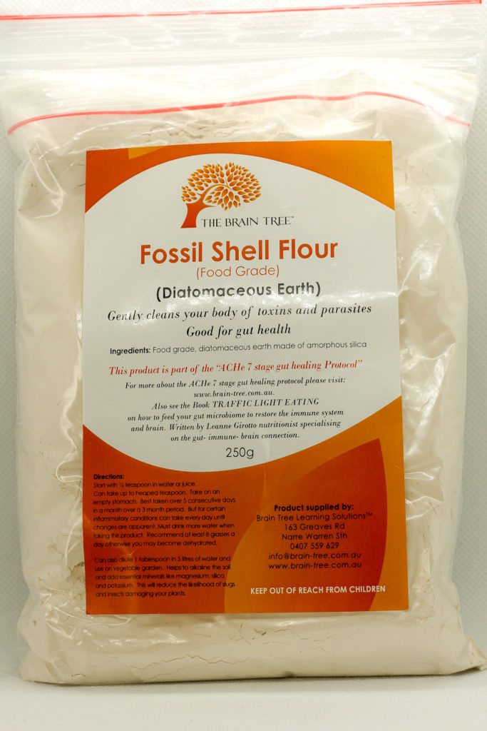 BRAIN TREE Fossil Shell Flour 125 g – Brain Tree Learning Solutions
